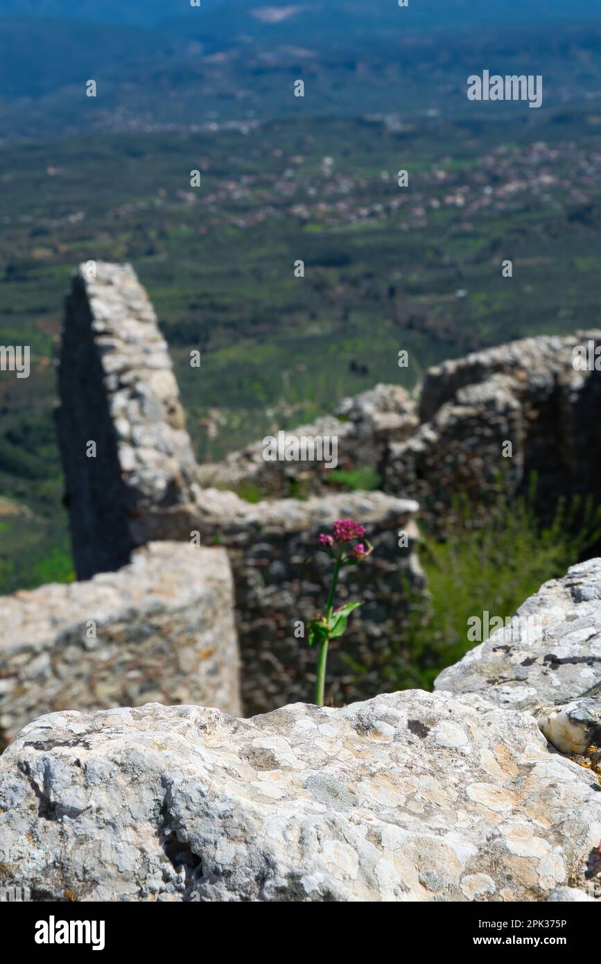 medieval architecture, the castle town of Mystras. Mistras, Greece ...
