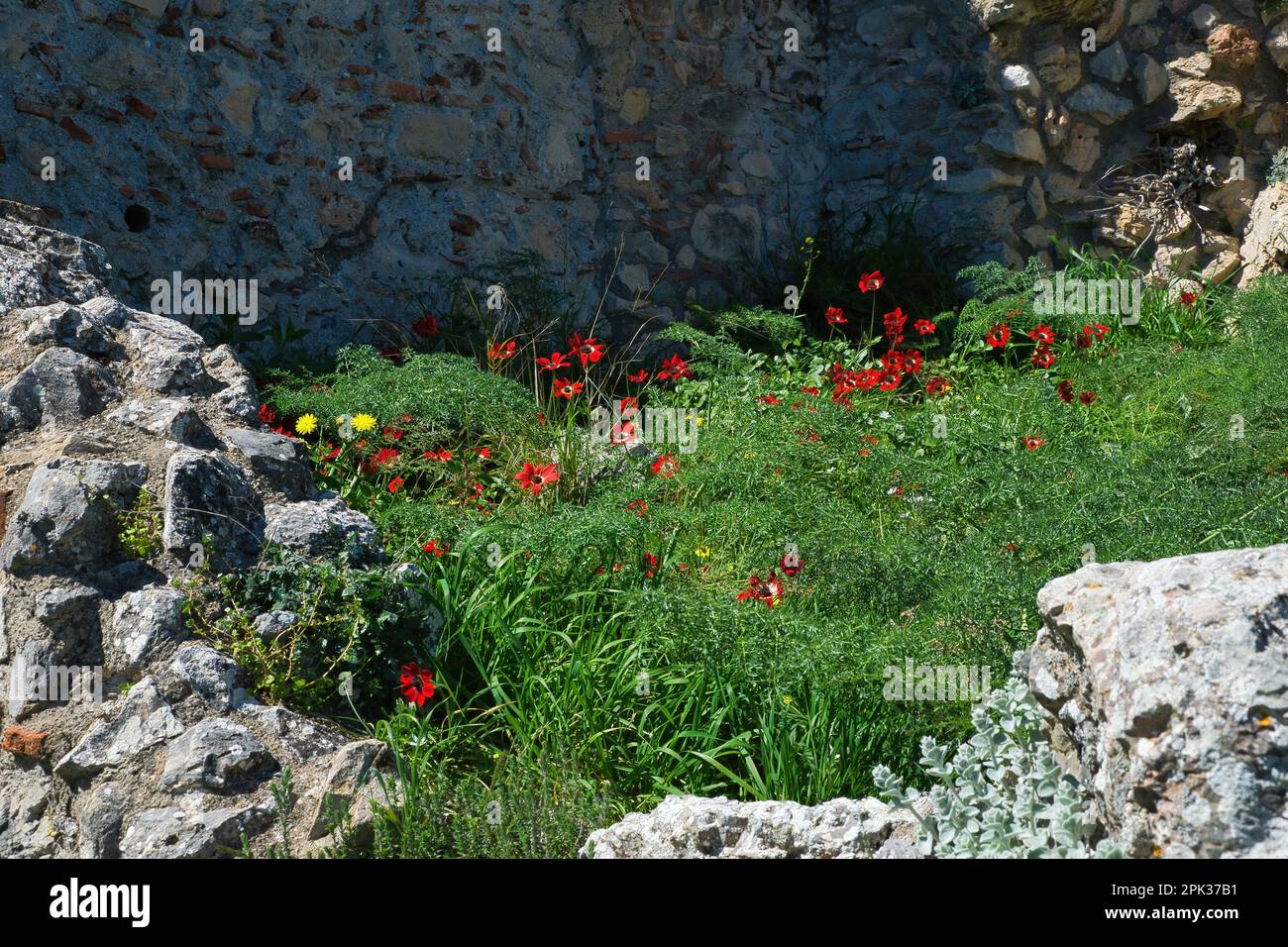 medieval architecture, the castle town of Mystras. Mistras, Greece ...
