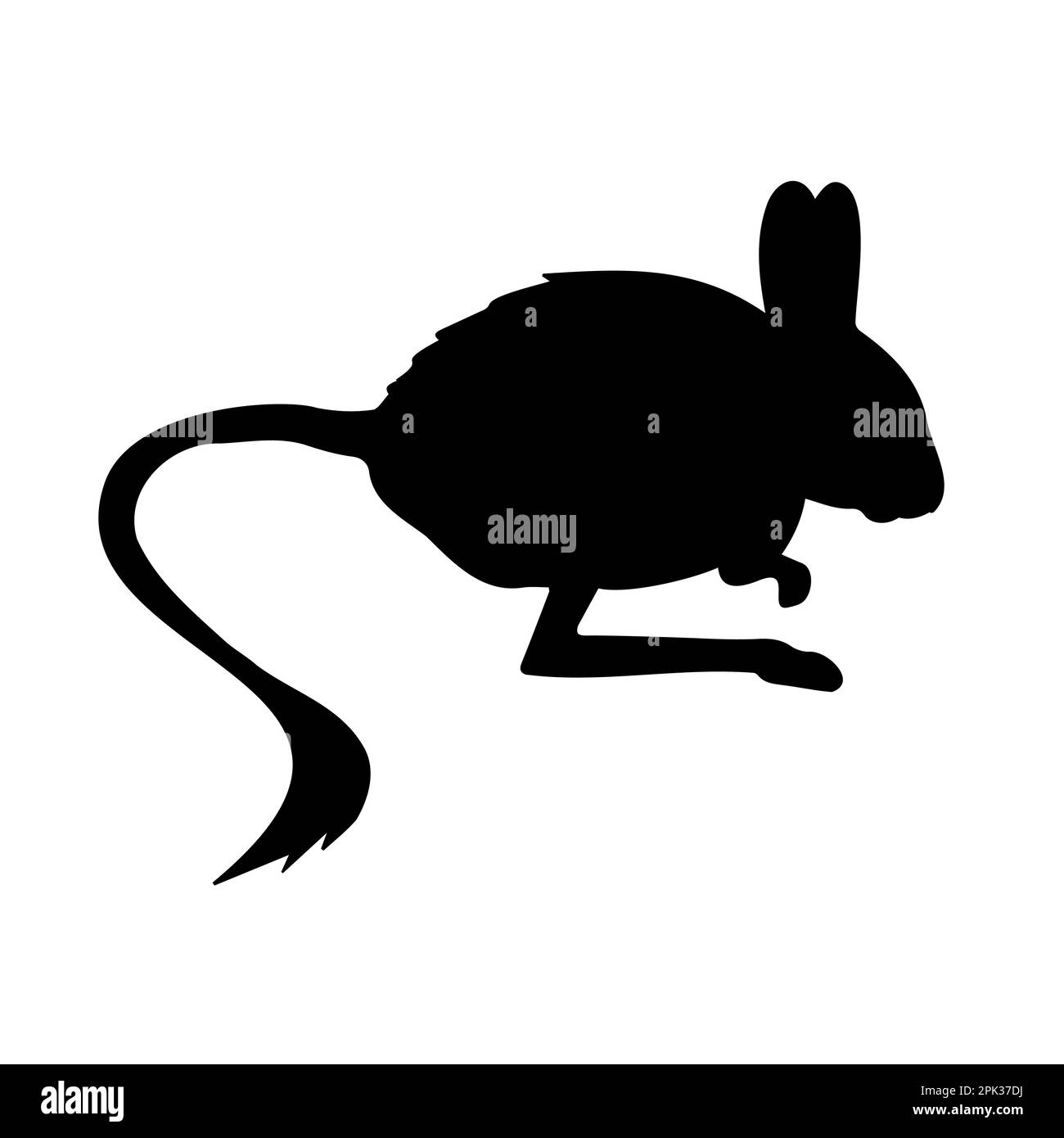 Vector hand drawn Jerboa silhouette isolated on white background Stock ...