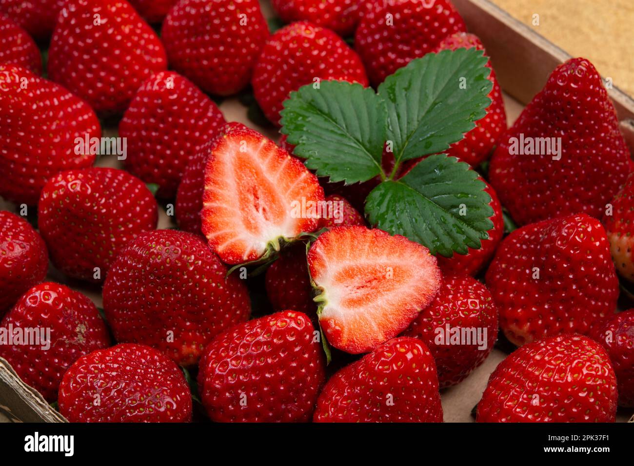 New harvest, 1 kilogram paper box of ripe red sweet Spanish strawberry ...