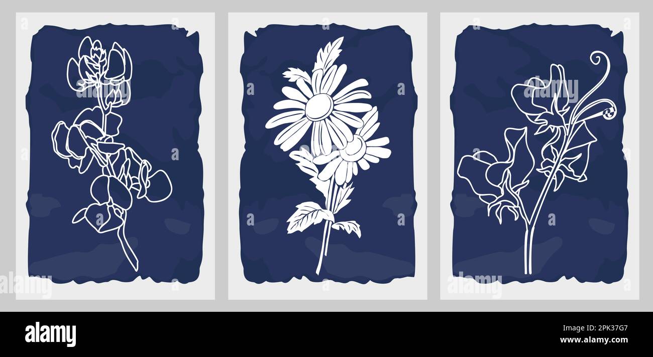 Sweet Pea and Daisy April birth month flowers Stock Vector Image & Art ...