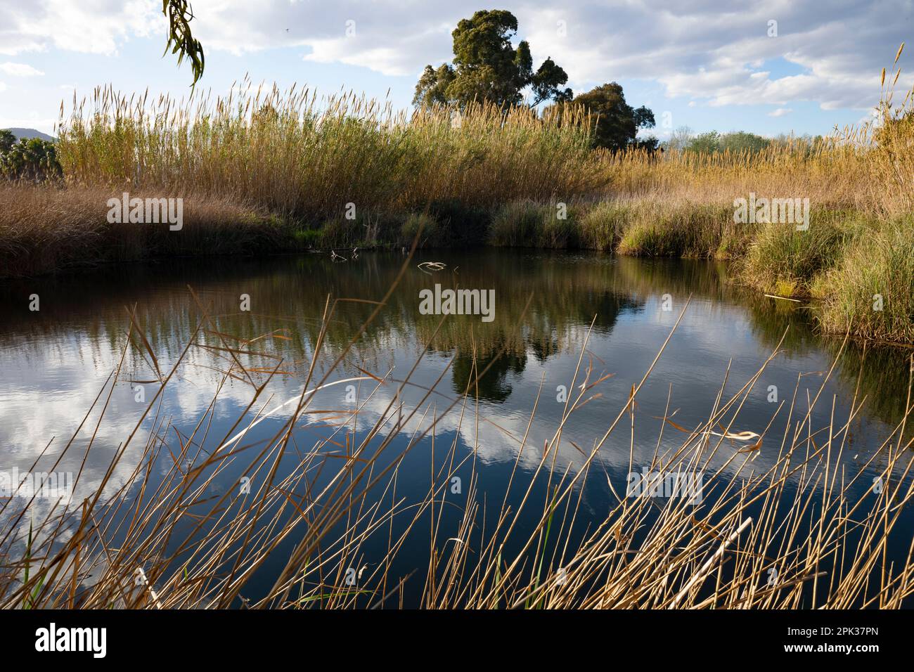 Els ullals de baltasar hi-res stock photography and images - Alamy