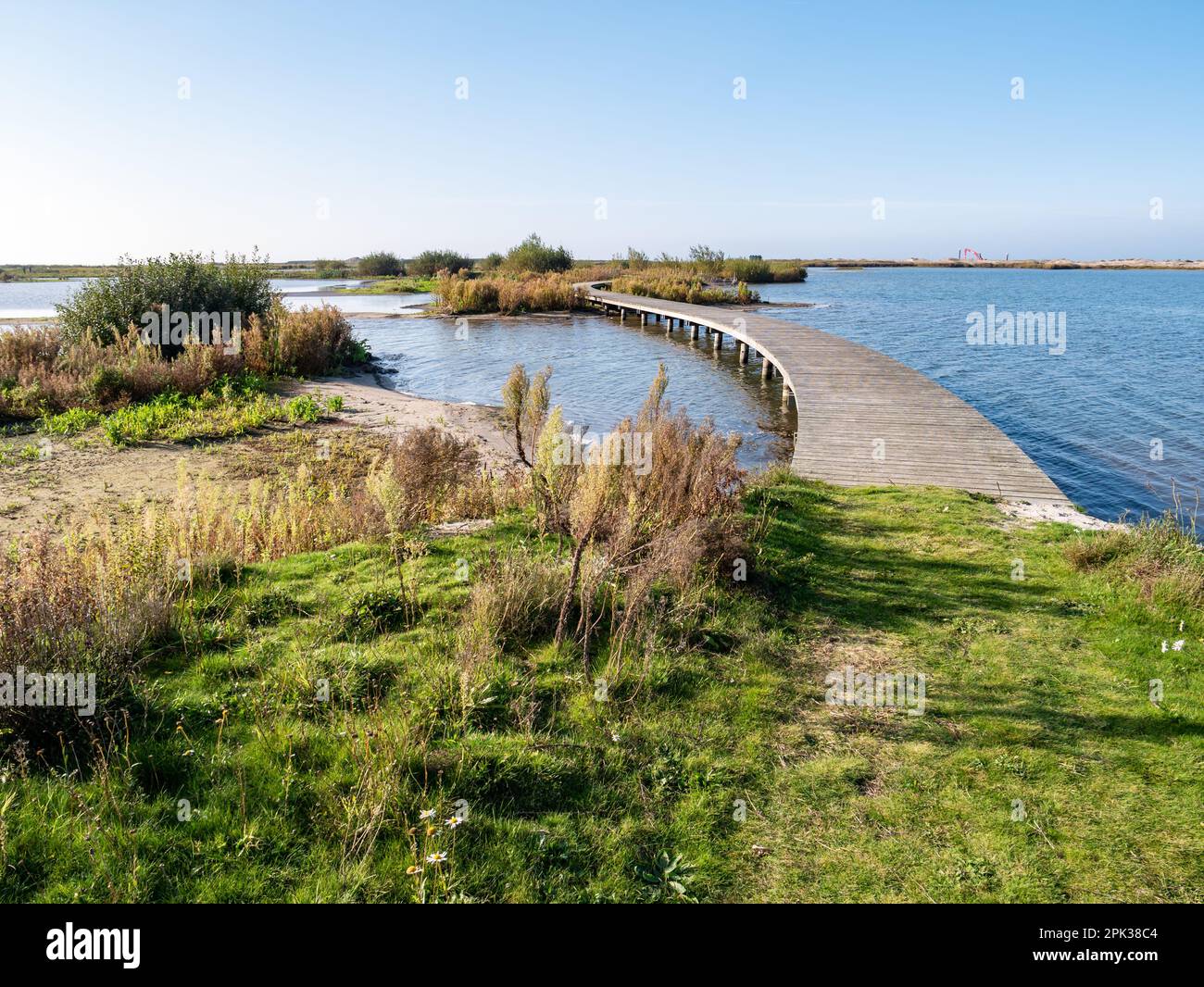 Footpath and wooden boardwalk of hiking trail through wetlands of ...
