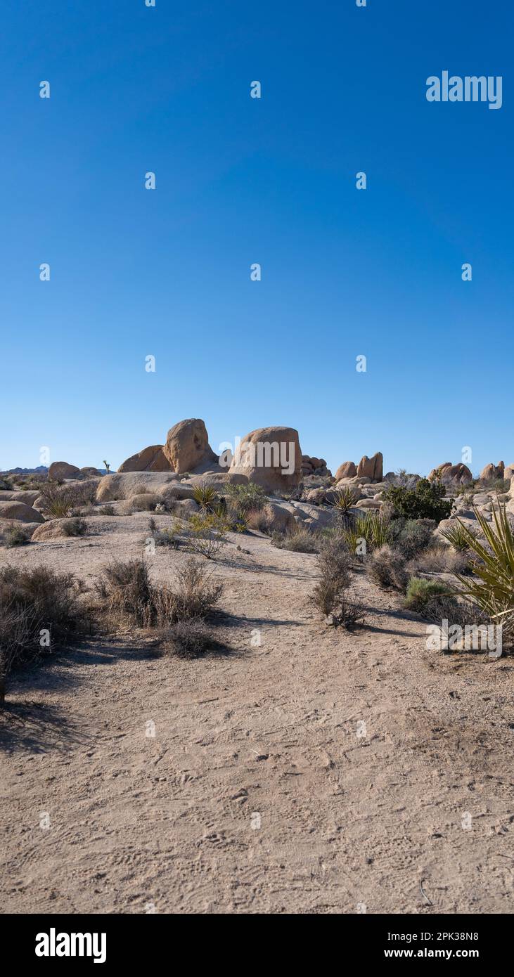 Boulder landscape on Arch Rock Nature Trail in Joshua Tree National ...