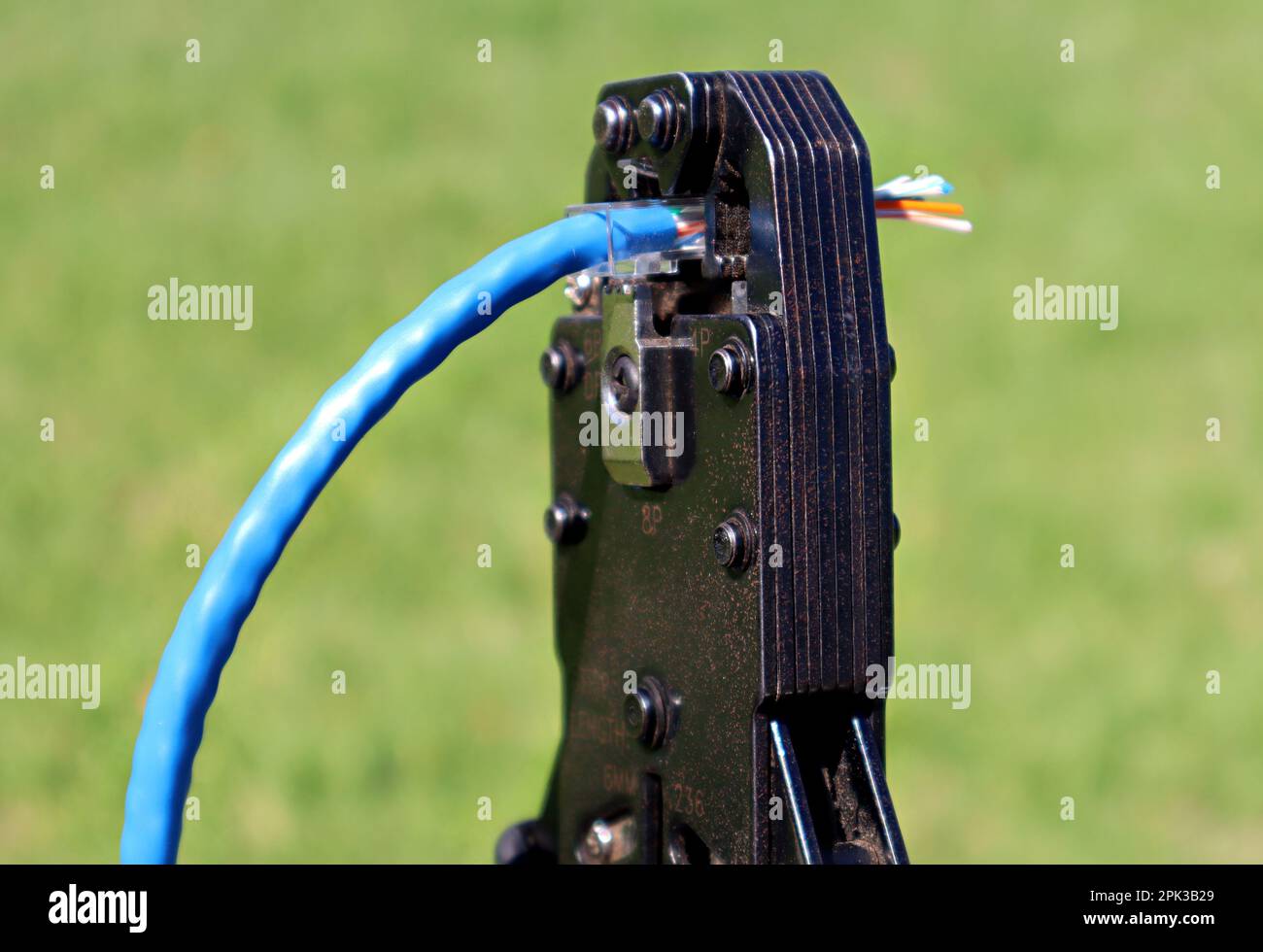 Close up gigabit ethernet hi-res stock photography and images - Alamy