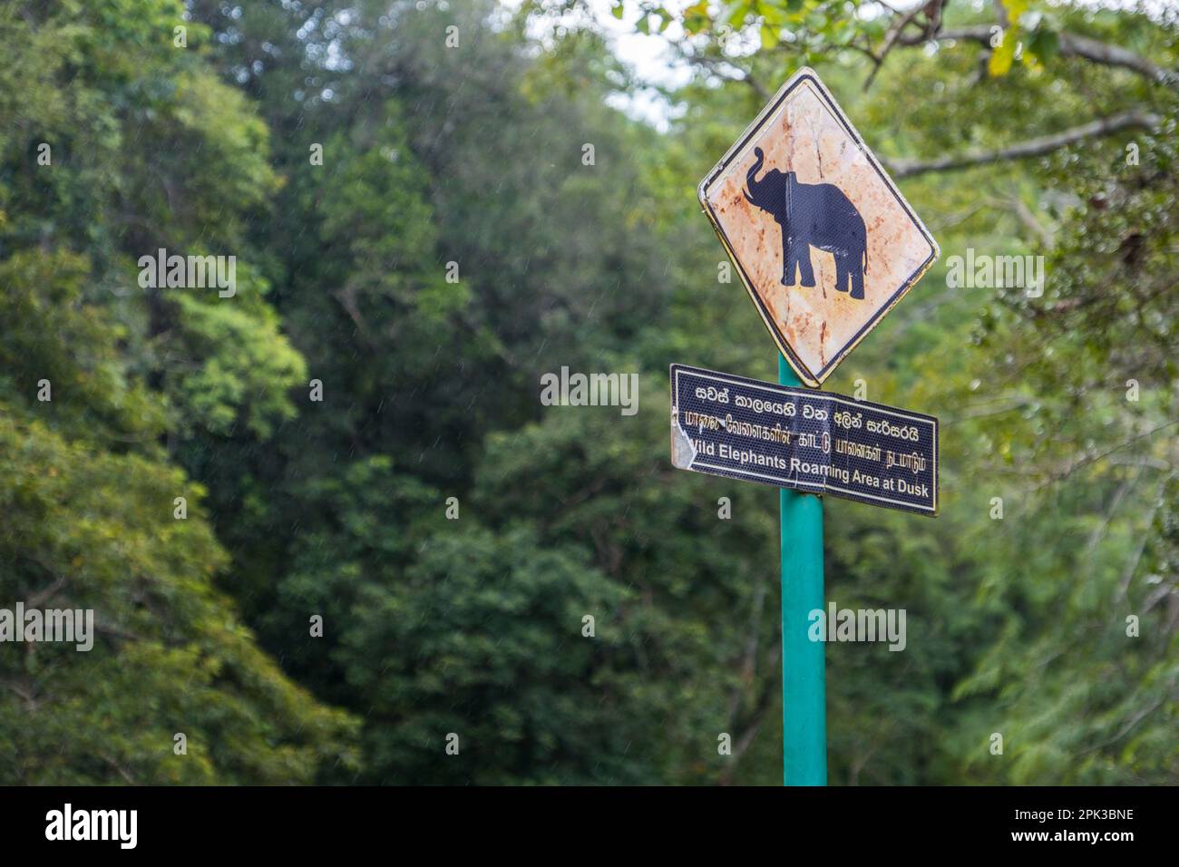 A sign warning of wild elephants at Sigiriya in Sri Lanka Stock Photo ...