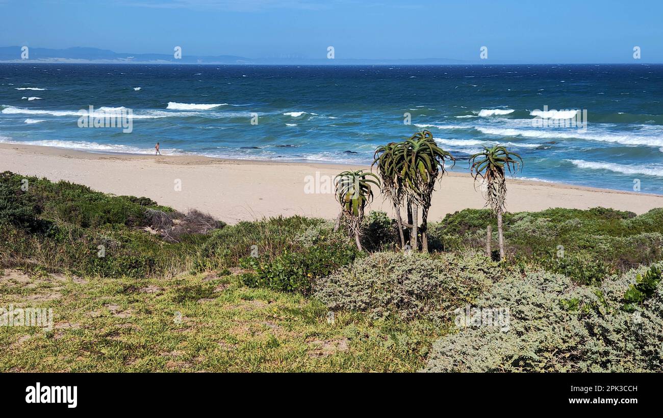 View at the beach of Jeffrey's bay on South Africa Stock Photo - Alamy