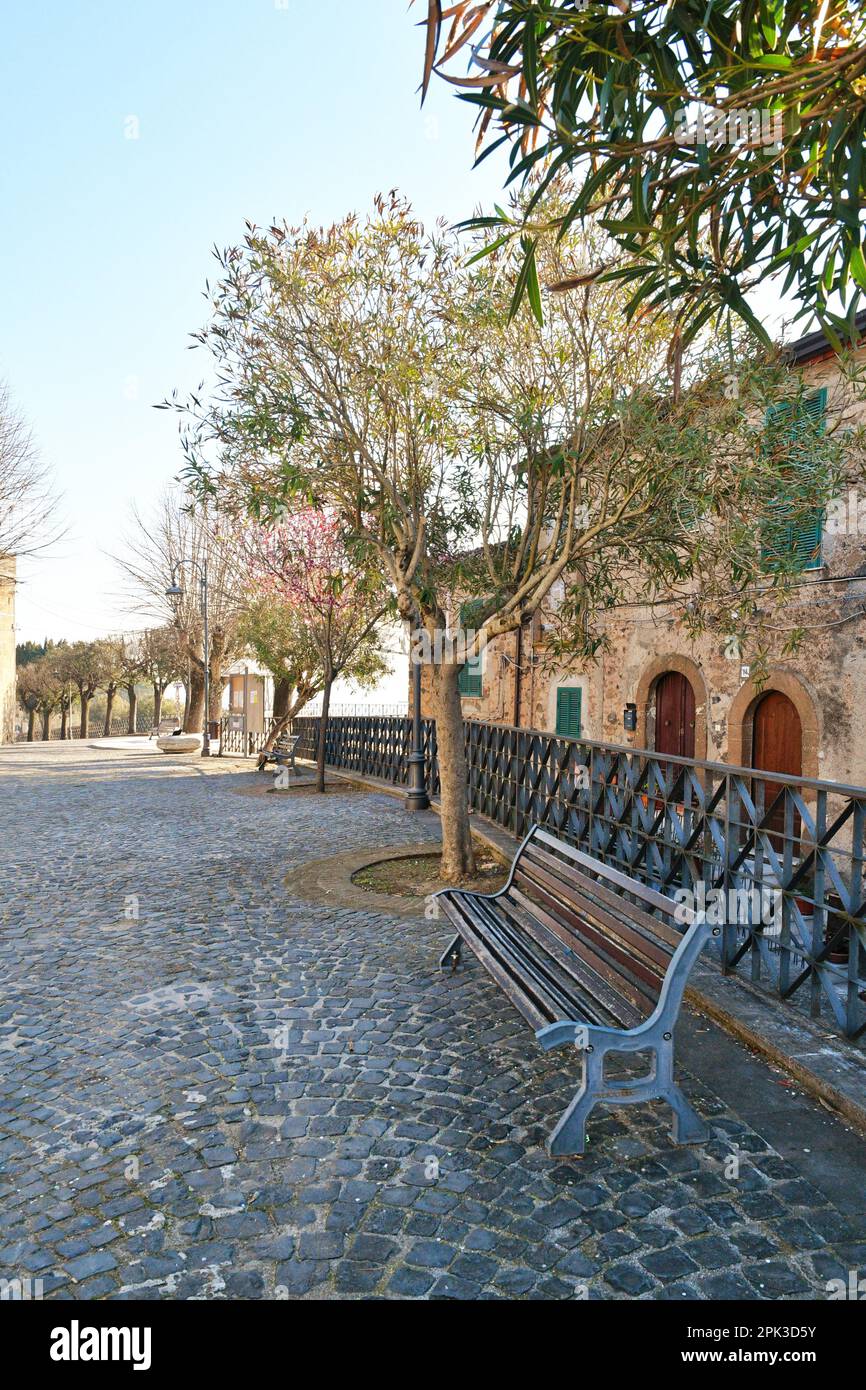 A narrow street among the old houses of Pofi, a medieval town in the ...