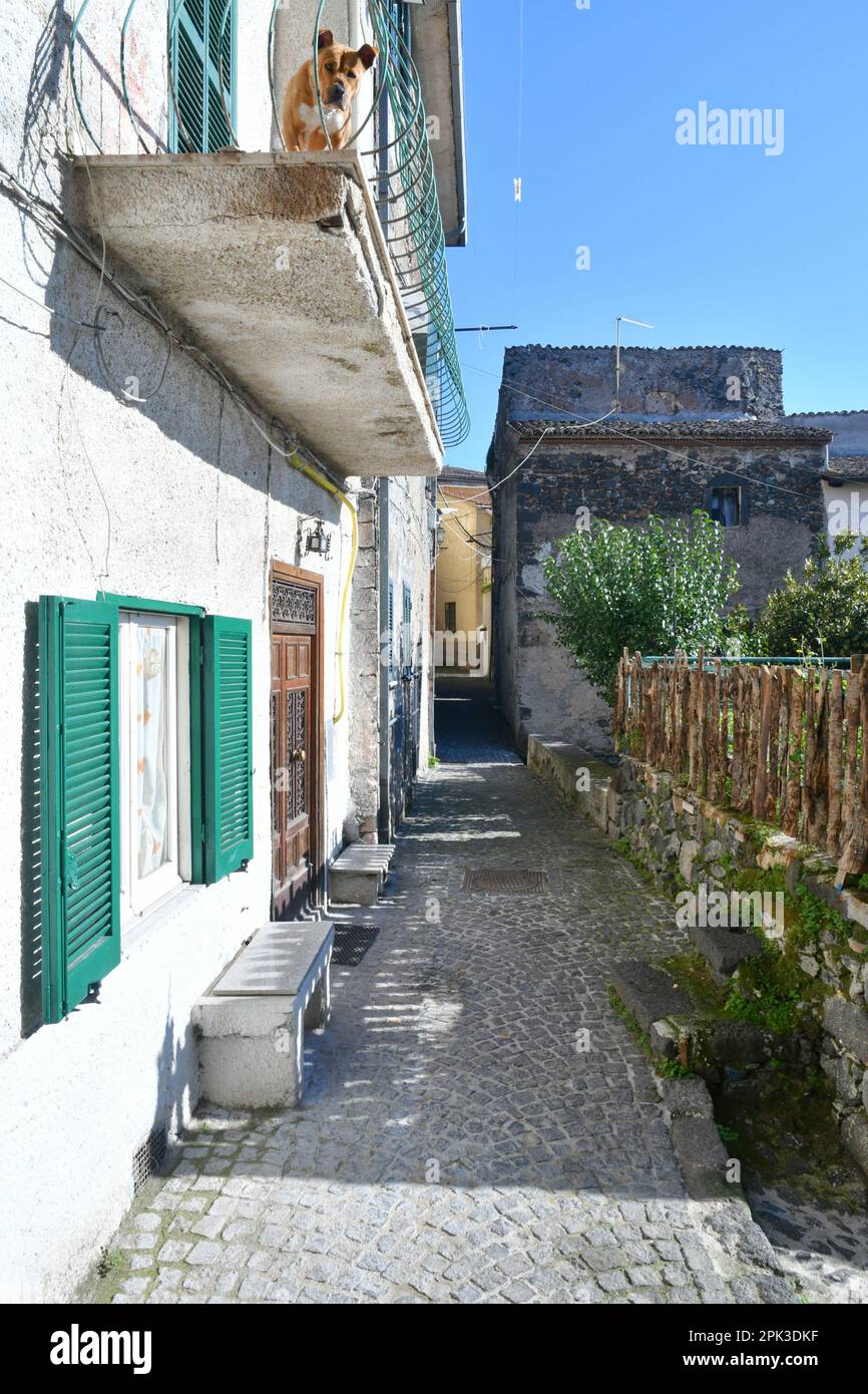 A narrow street among the old houses of Pofi, a medieval town in the ...