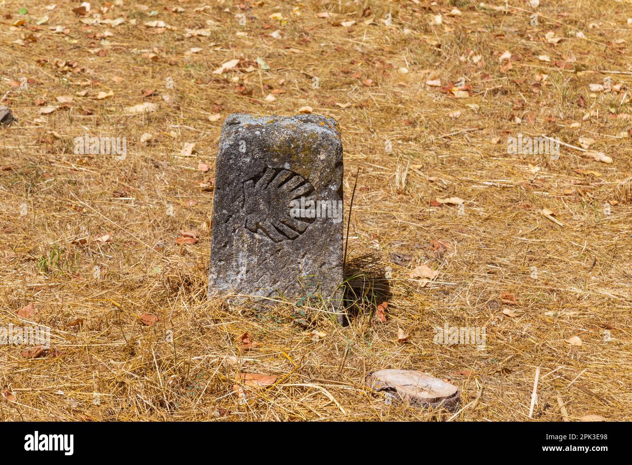 Scallop shell, touristic symbol of the Camino de Santiago showing ...