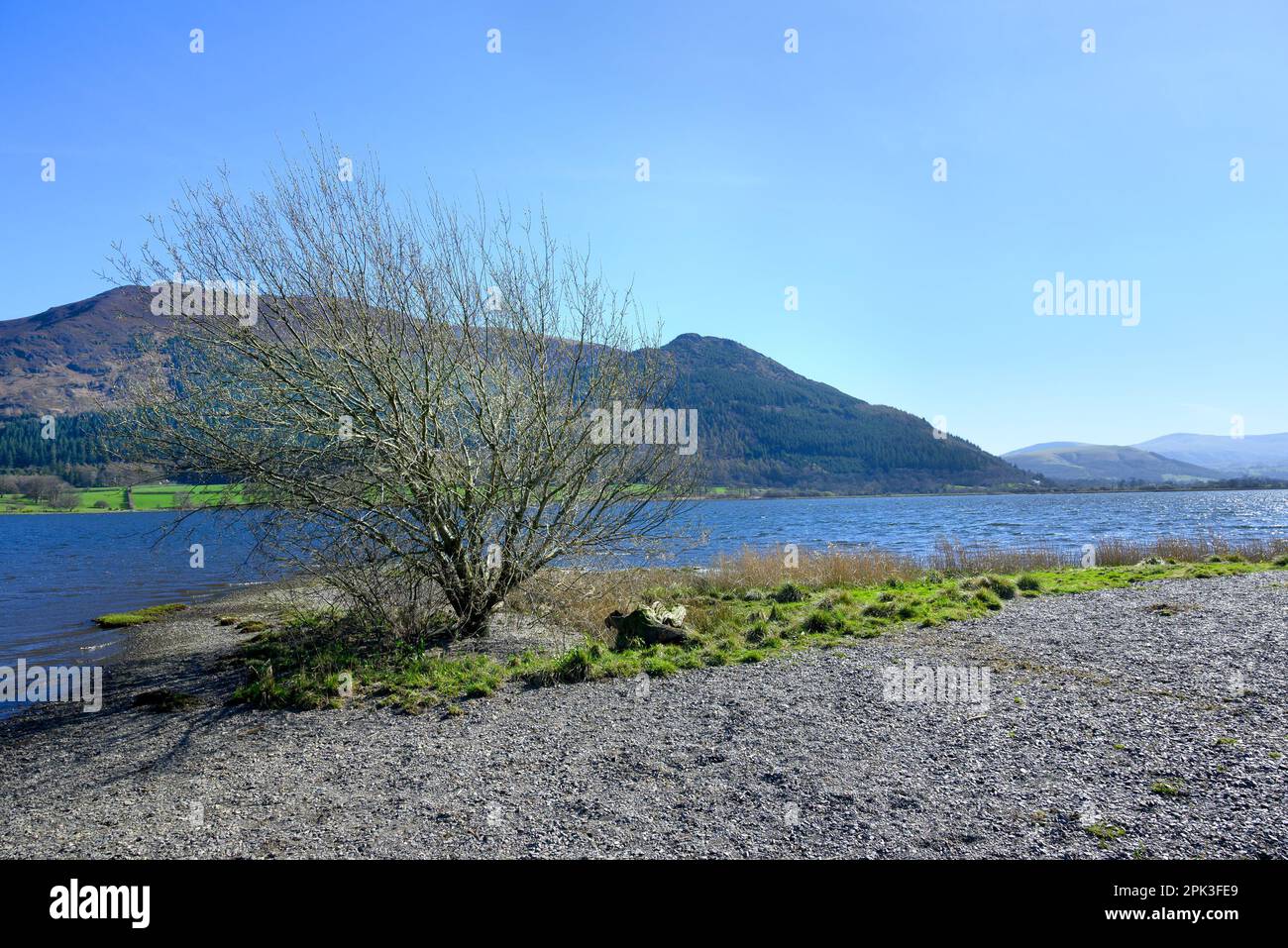 Bassenthwaite lake district hi-res stock photography and images - Alamy