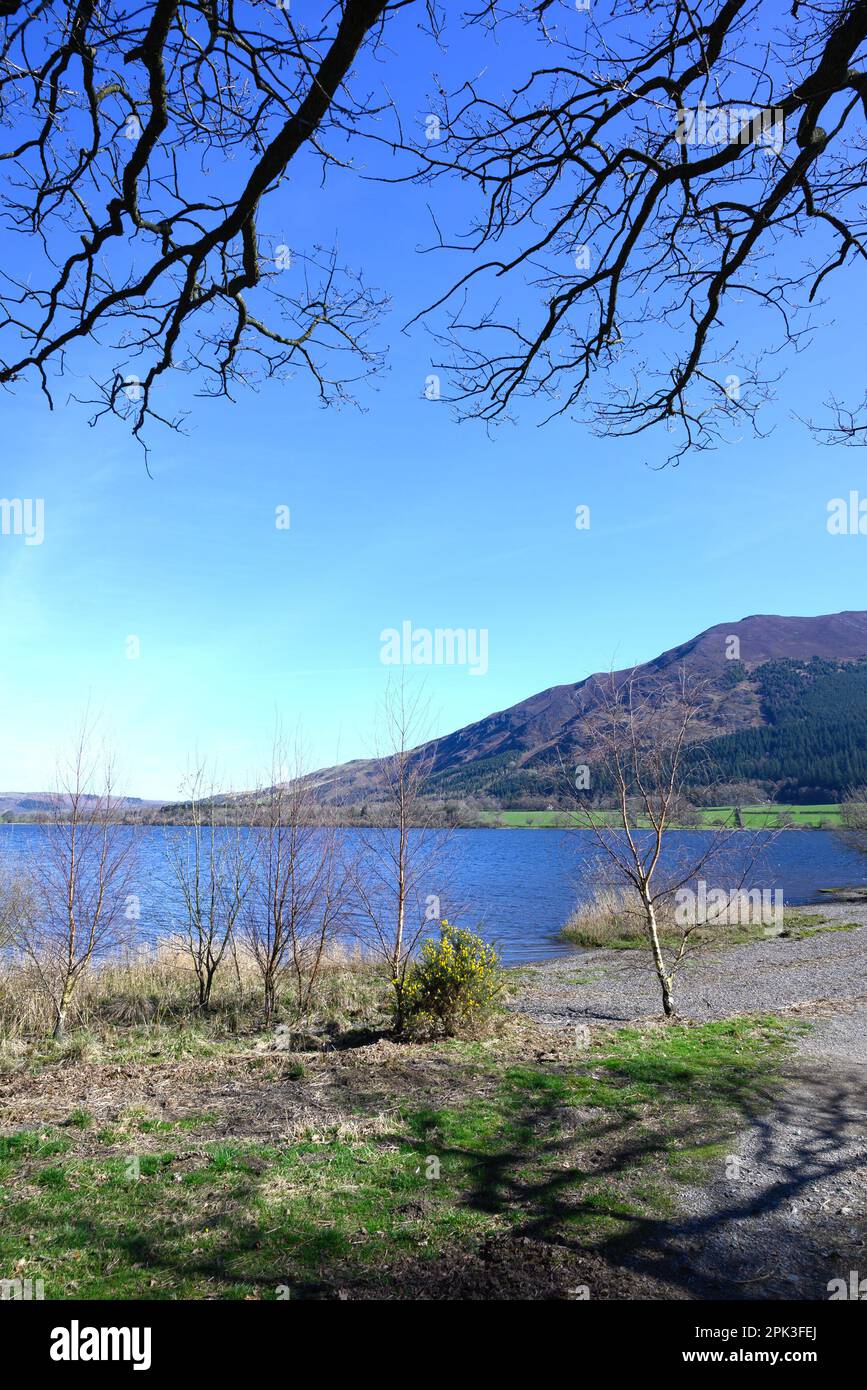Lake District, Cumbria, UK. Bassenthwaite Lake seen from the Viewing ...