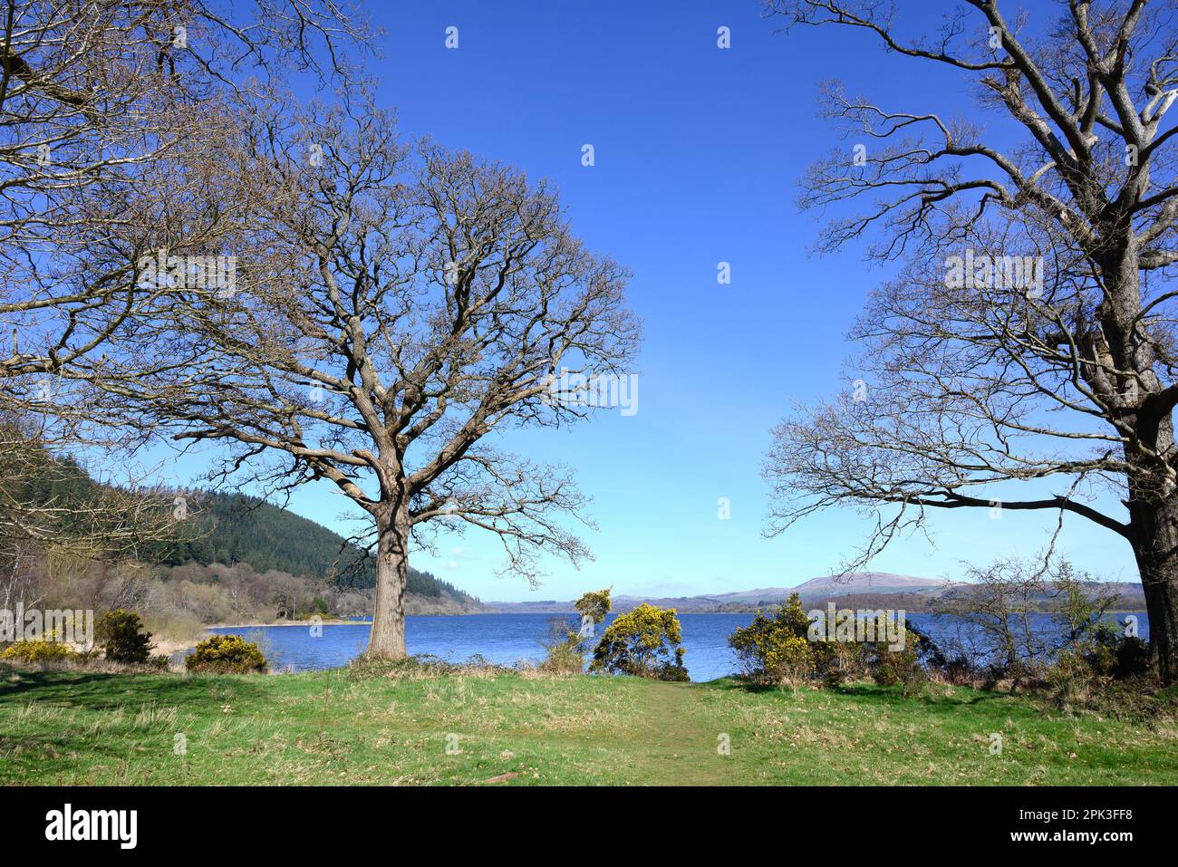 Bassenthwaite lake district hi-res stock photography and images - Alamy