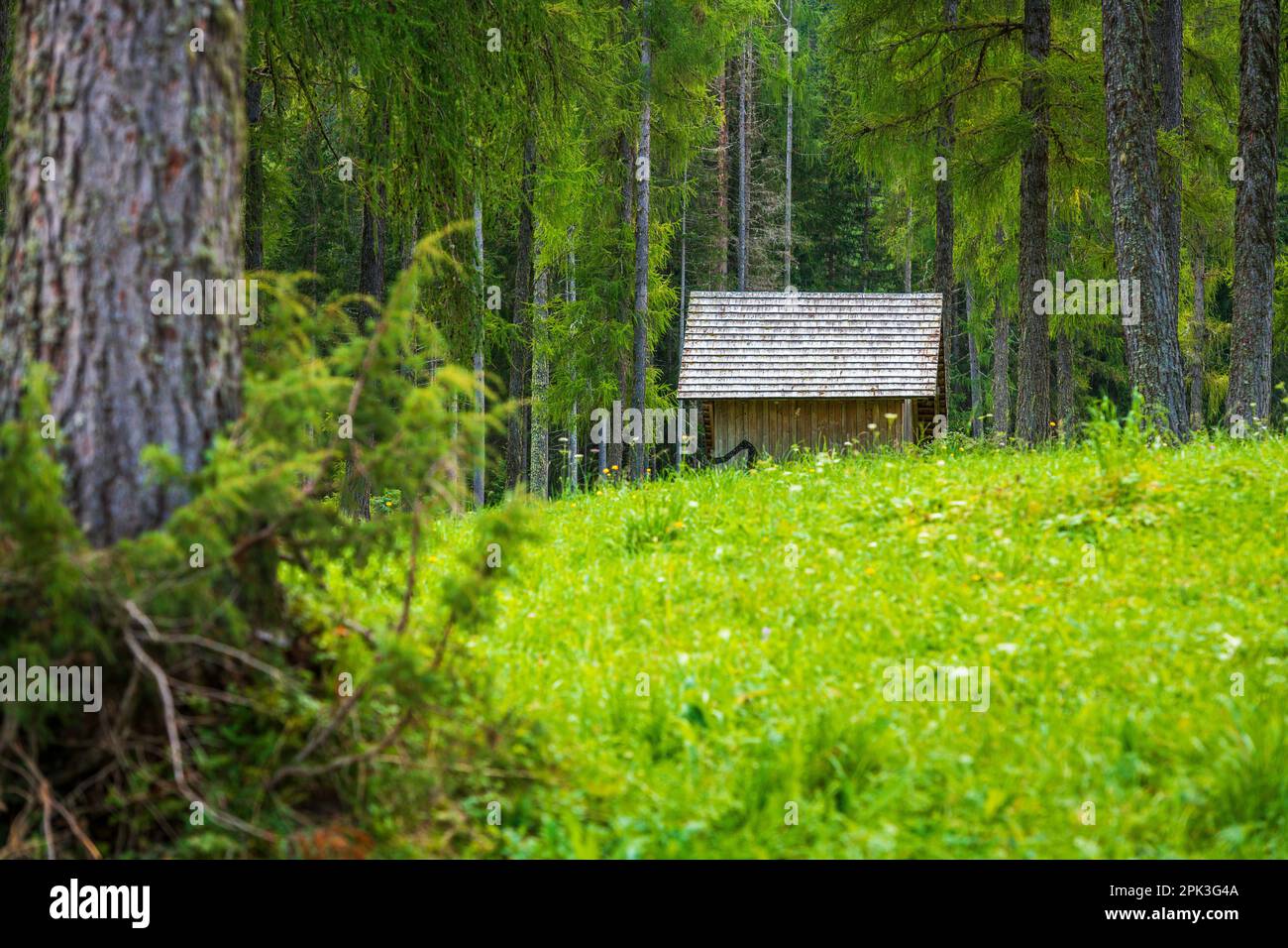 Val Fiscalina. Frame of the Sesto Dolomites Stock Photo - Alamy