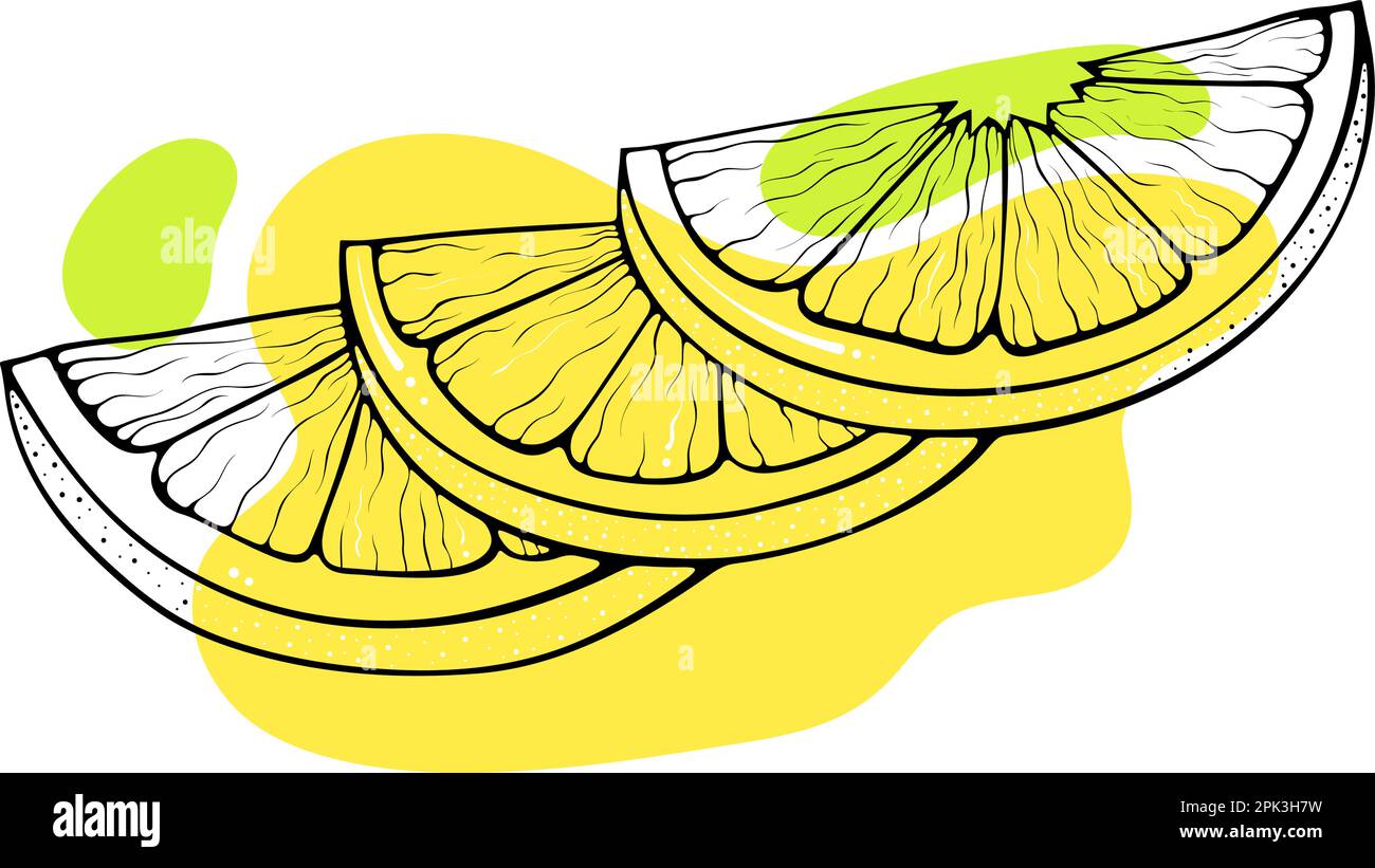Three lemon slices outline abstract spots Stock Vector Image & Art - Alamy