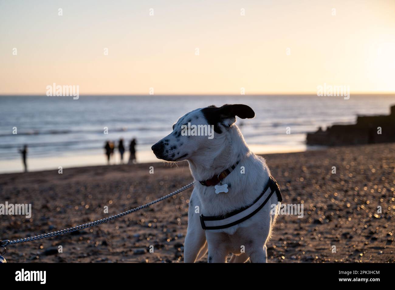 Breeze on the beach hi-res stock photography and images - Alamy