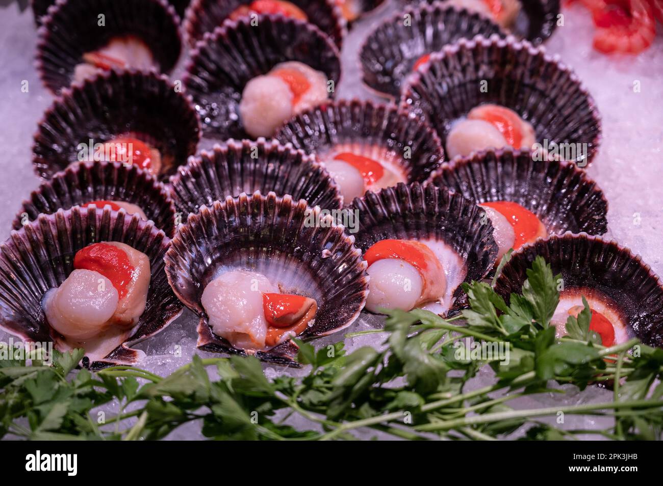 Alicante, Spain. 05th Apr, 2023. Fresh scallops displayed over ice are ...