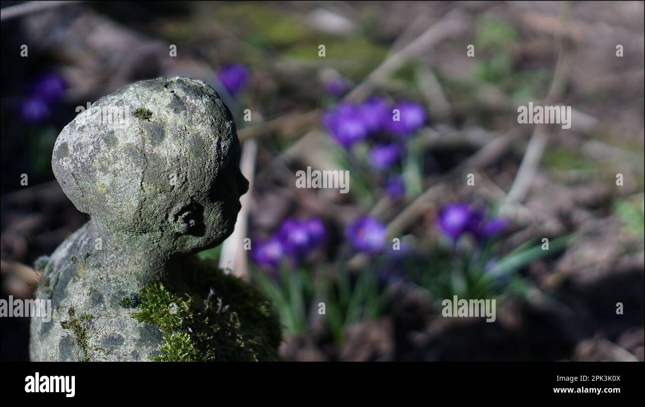Figure of moss hi-res stock photography and images - Alamy