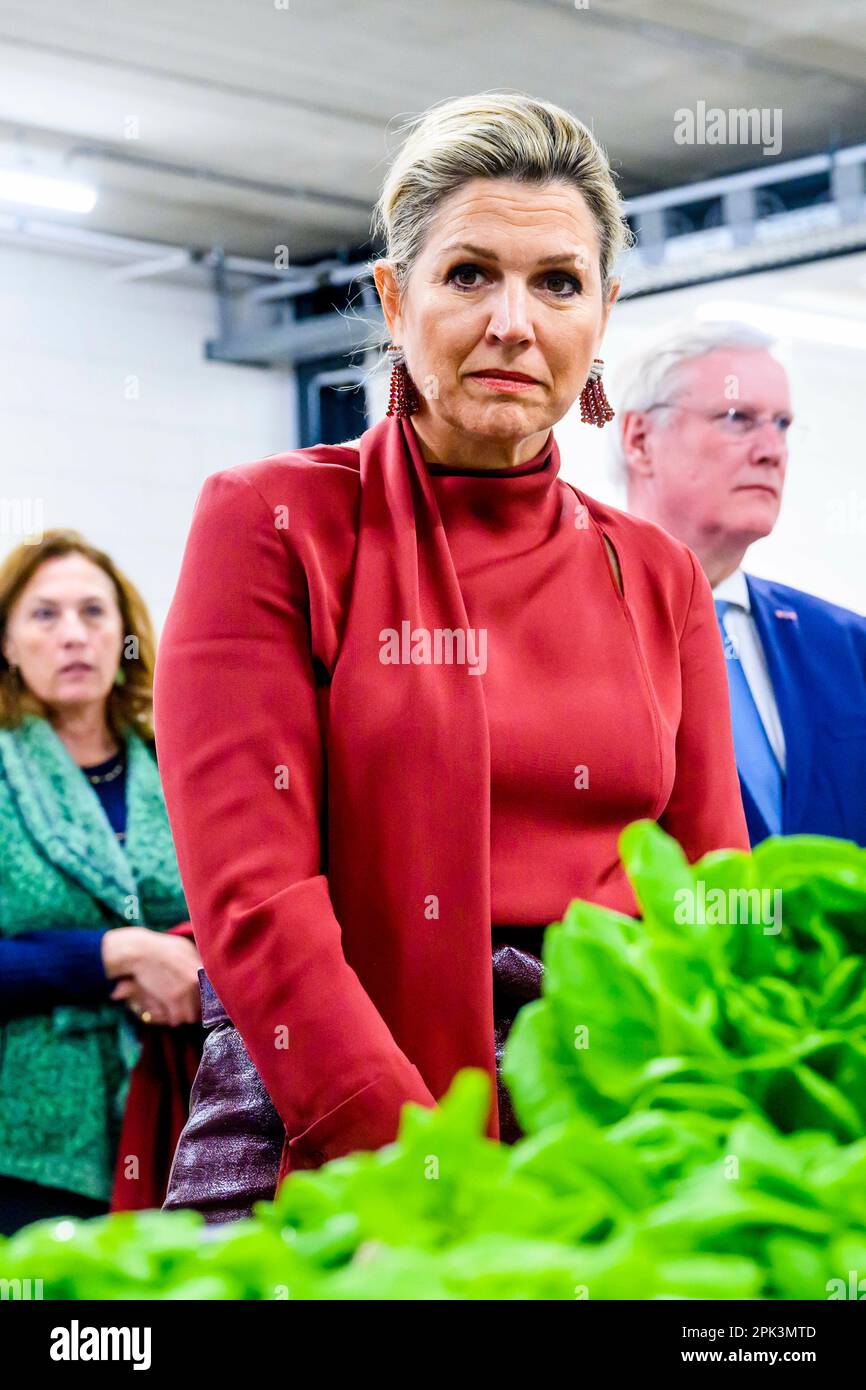 Queen Maxima of the Netherlands at Maan Group in Raalte, on April 05 ...