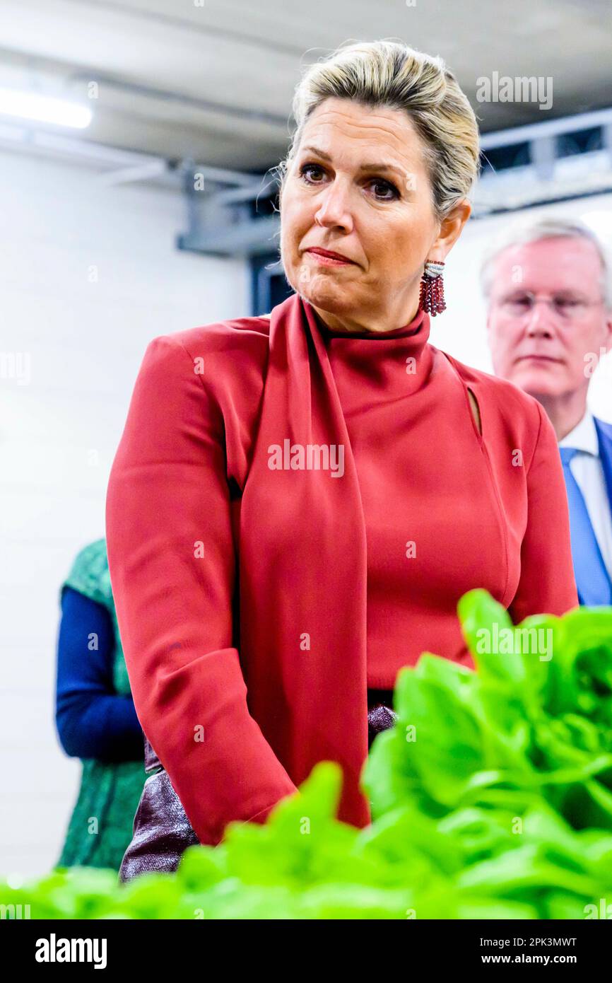 Queen Maxima of the Netherlands at Maan Group in Raalte, on April 05 ...