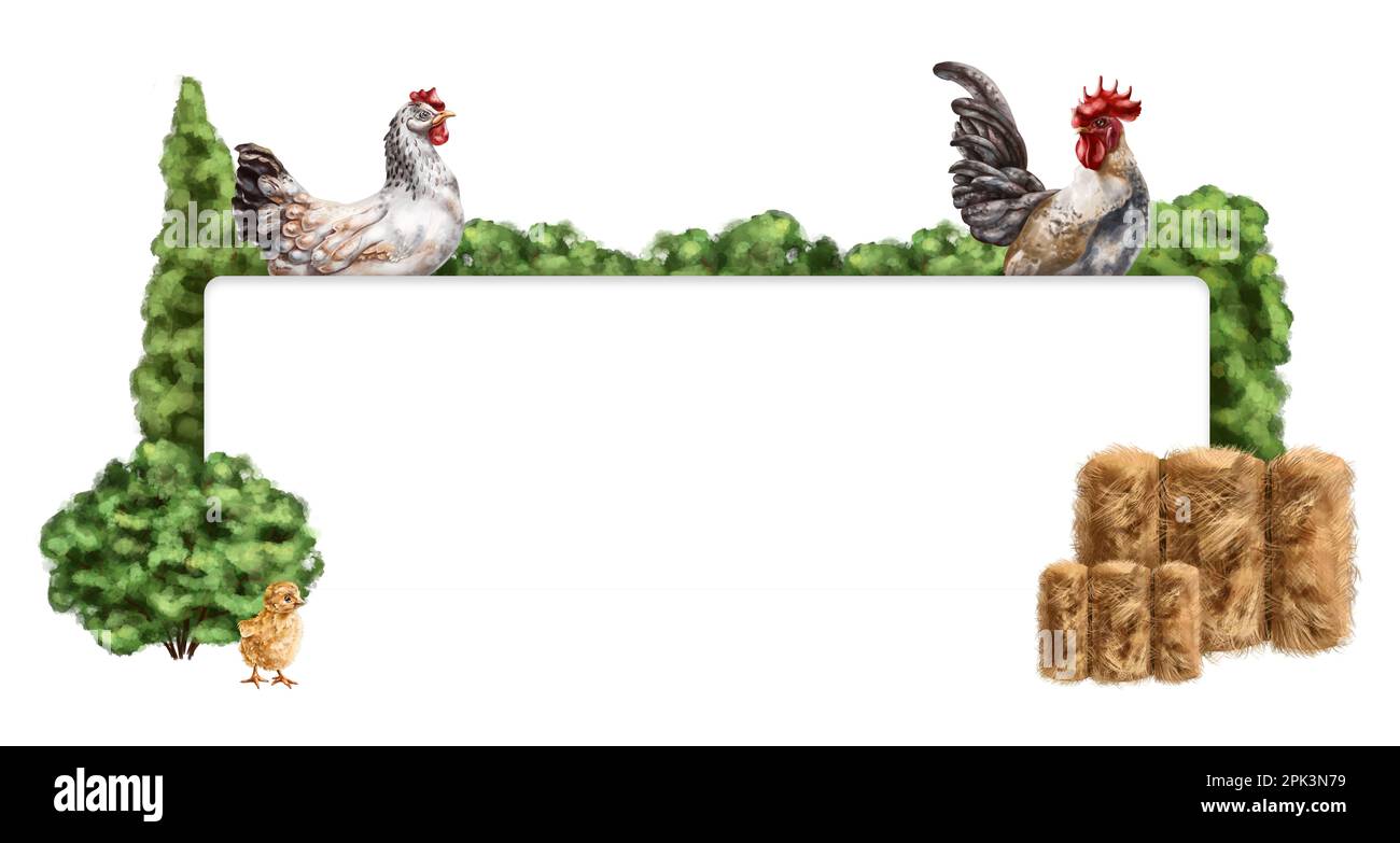 Farm composition frame of chicken, chicken, rooster among haystacks and ...