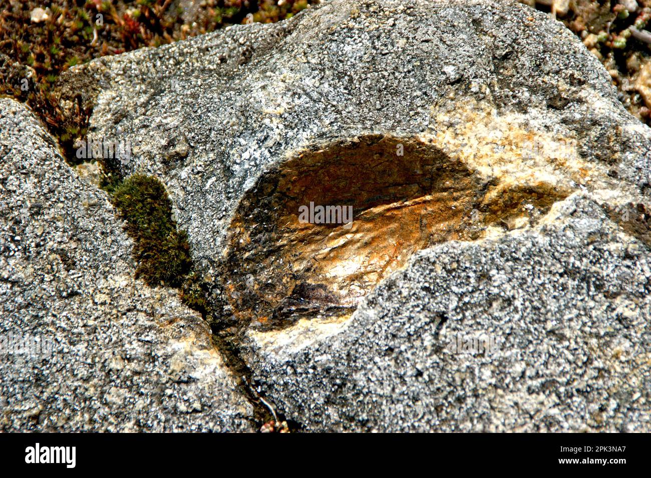 Farrowing stones (Pedras Parideiras) at the Geopark of Arouca, Portugal ...