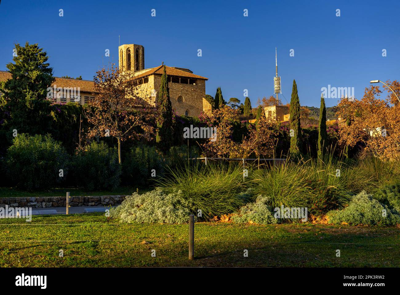 Royal Monastery of Pedralbes and the Collserola tower at sunset ...