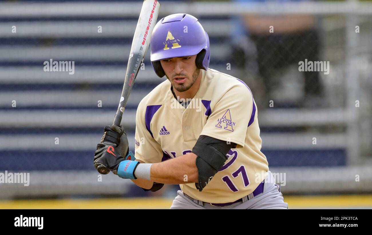 Alcorn State infielder Diego Lopez-Molina (17) bats during an NCAA ...