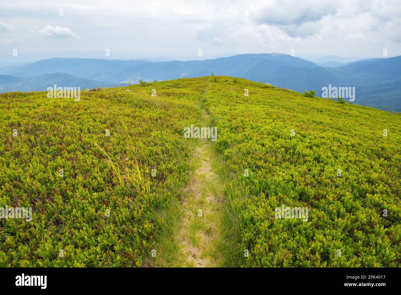 hiking path through the green hill. mountain landscape in summer ...