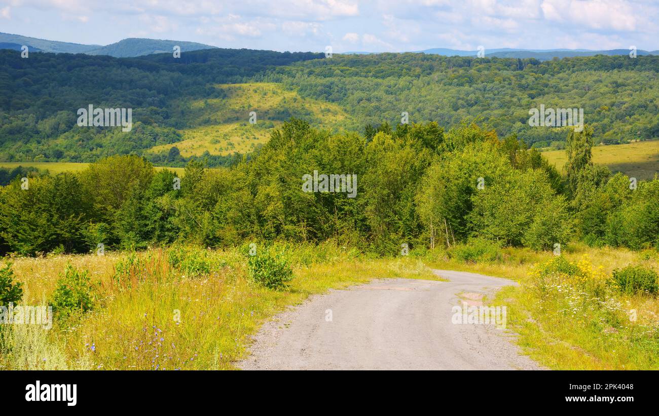 road winds through the lush green countryside. ride through the picturesque farmland of the ...