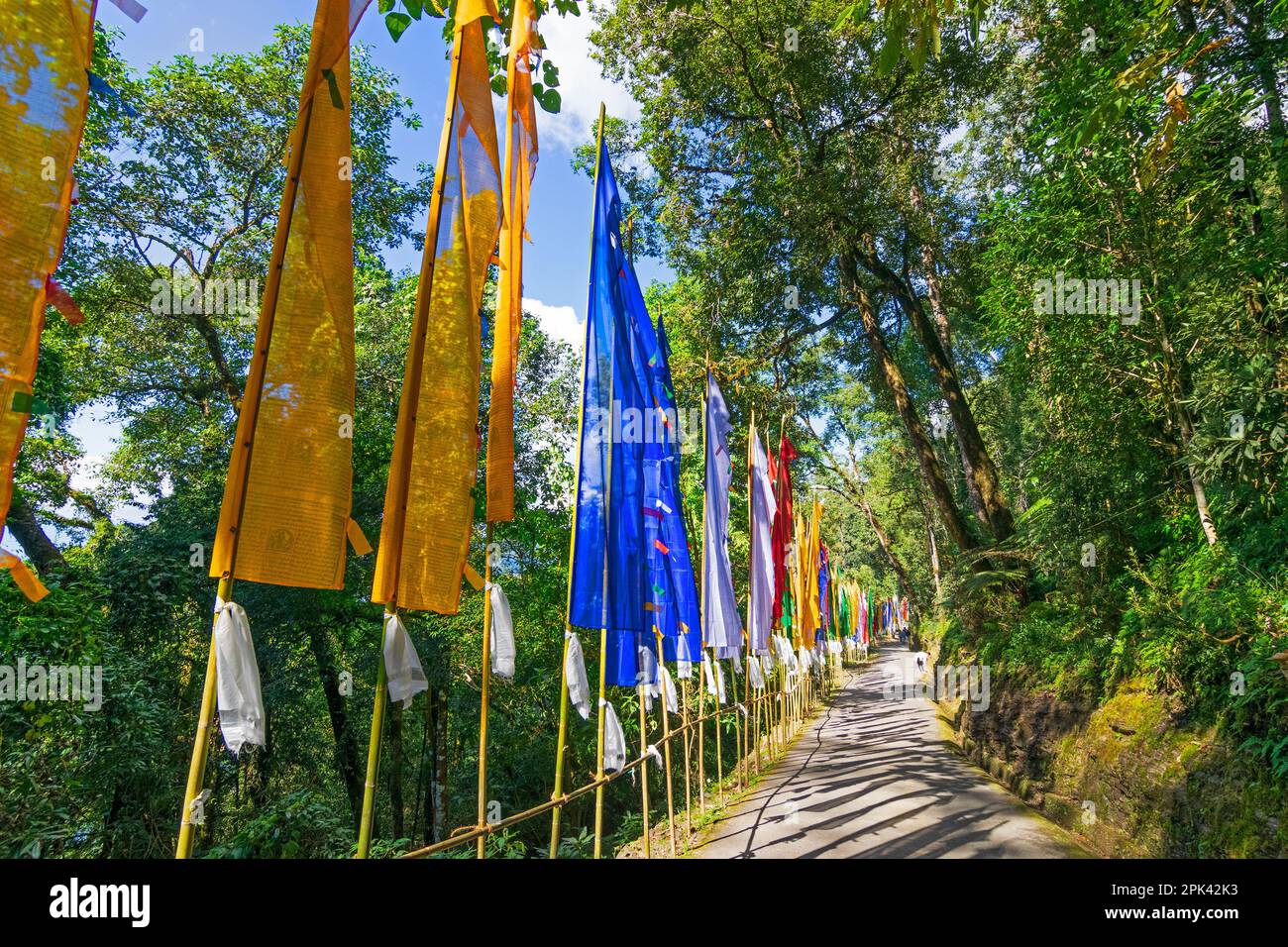 Sikkim tree worship hi-res stock photography and images - Alamy