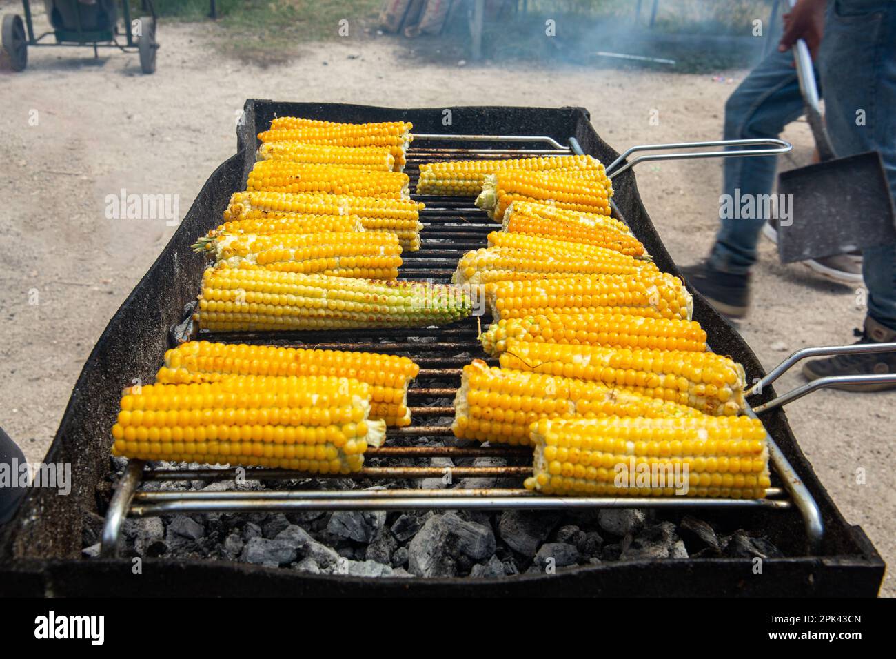 Corn cobs cook on an outdoor grill. Roasted corn. Corn is roasted over ...