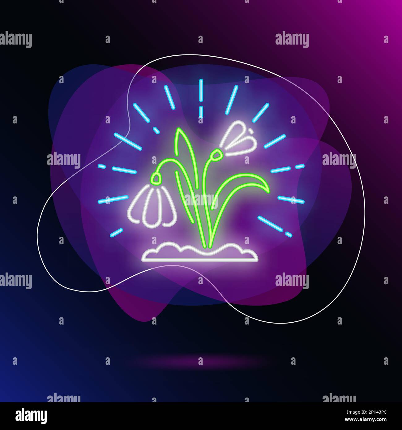 Snowdrop in snow Stock Vector Images - Alamy