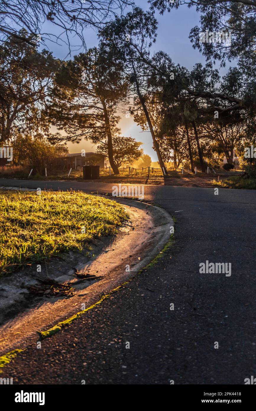 A curving tar road surrounded by beautiful green gum trees and ...