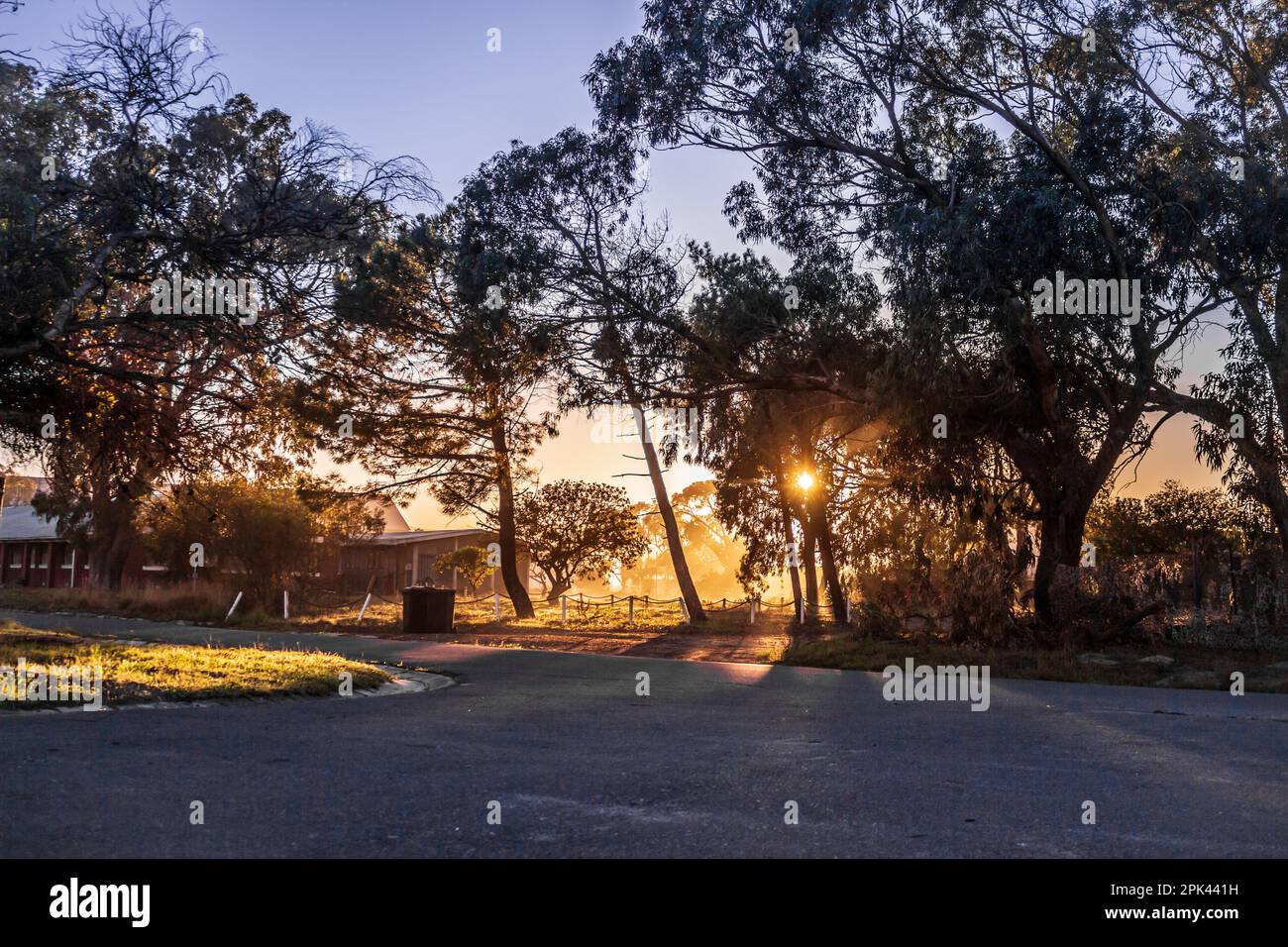 A curving tar road surrounded by beautiful green gum trees and ...