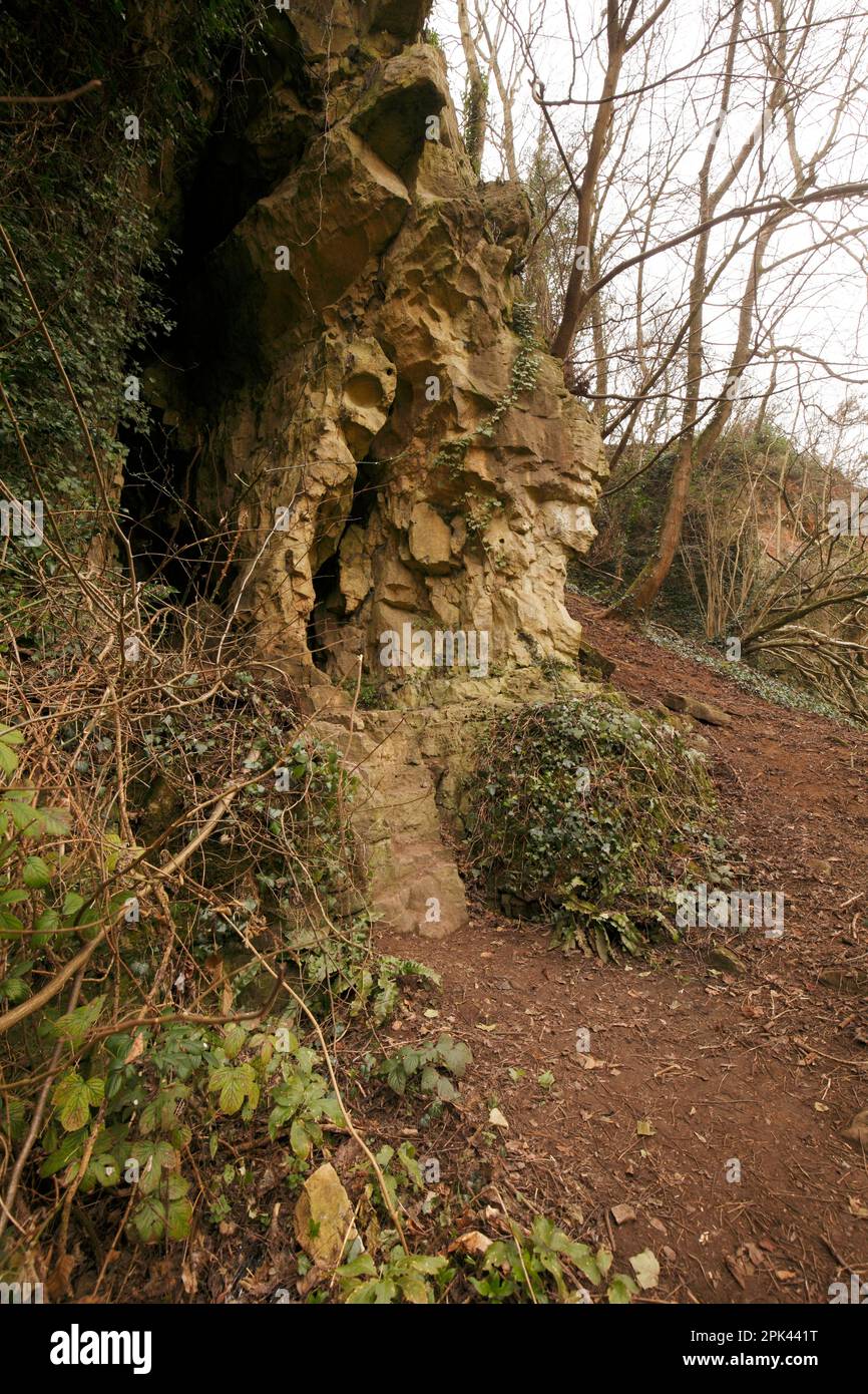 Creswell Crags. Caves and Mines, Limestone cliffs and gorge. Notts, UK ...