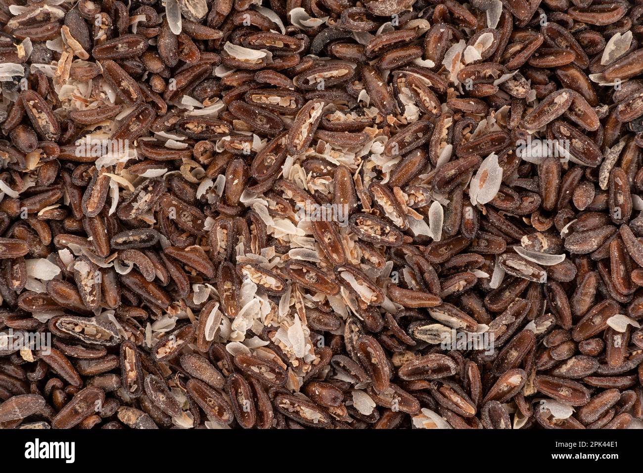 Broken psyllium seeds - dietary fibre, microscopy detail, image width ...