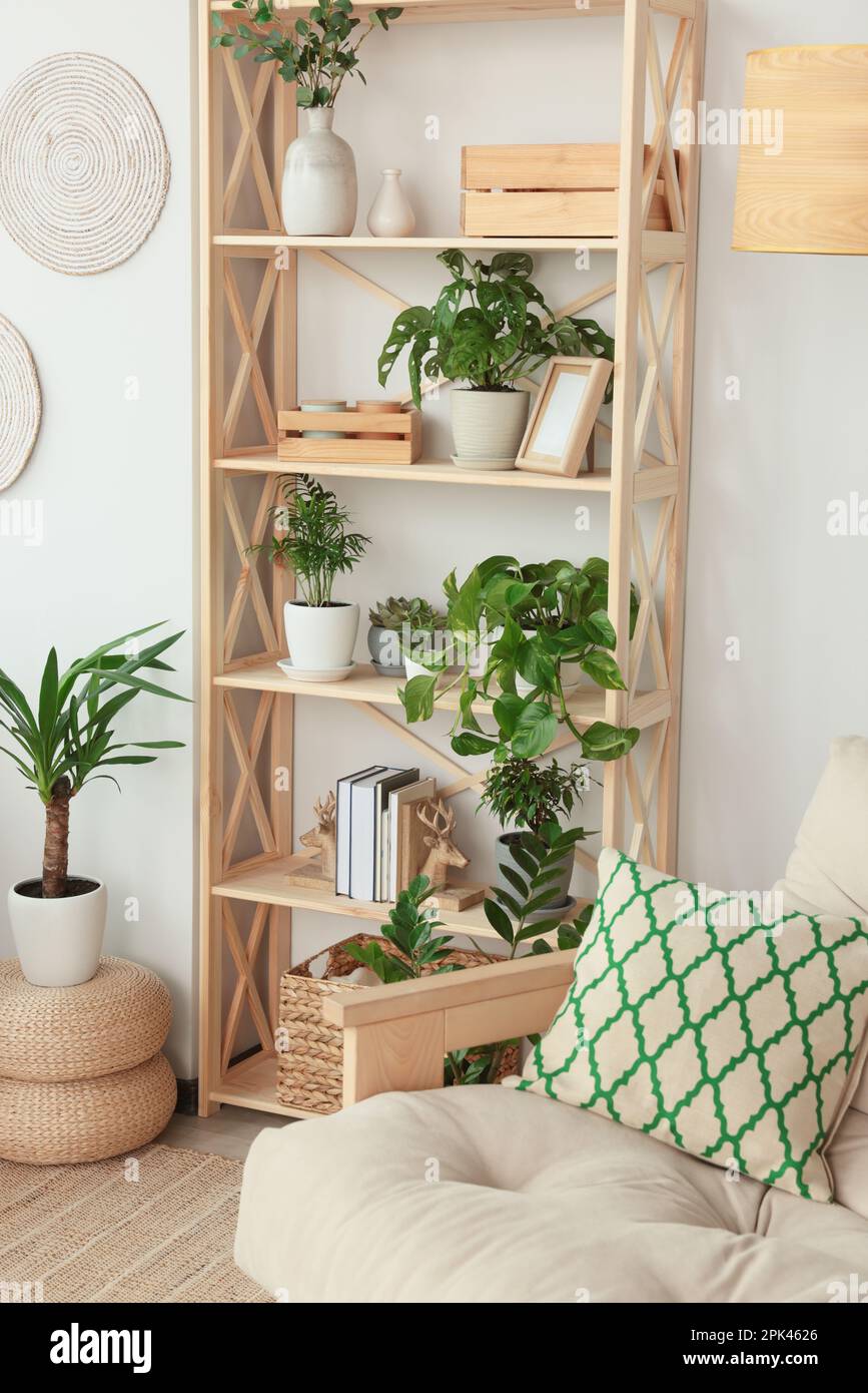 Stylish room interior with beautiful house plants. Home design idea ...