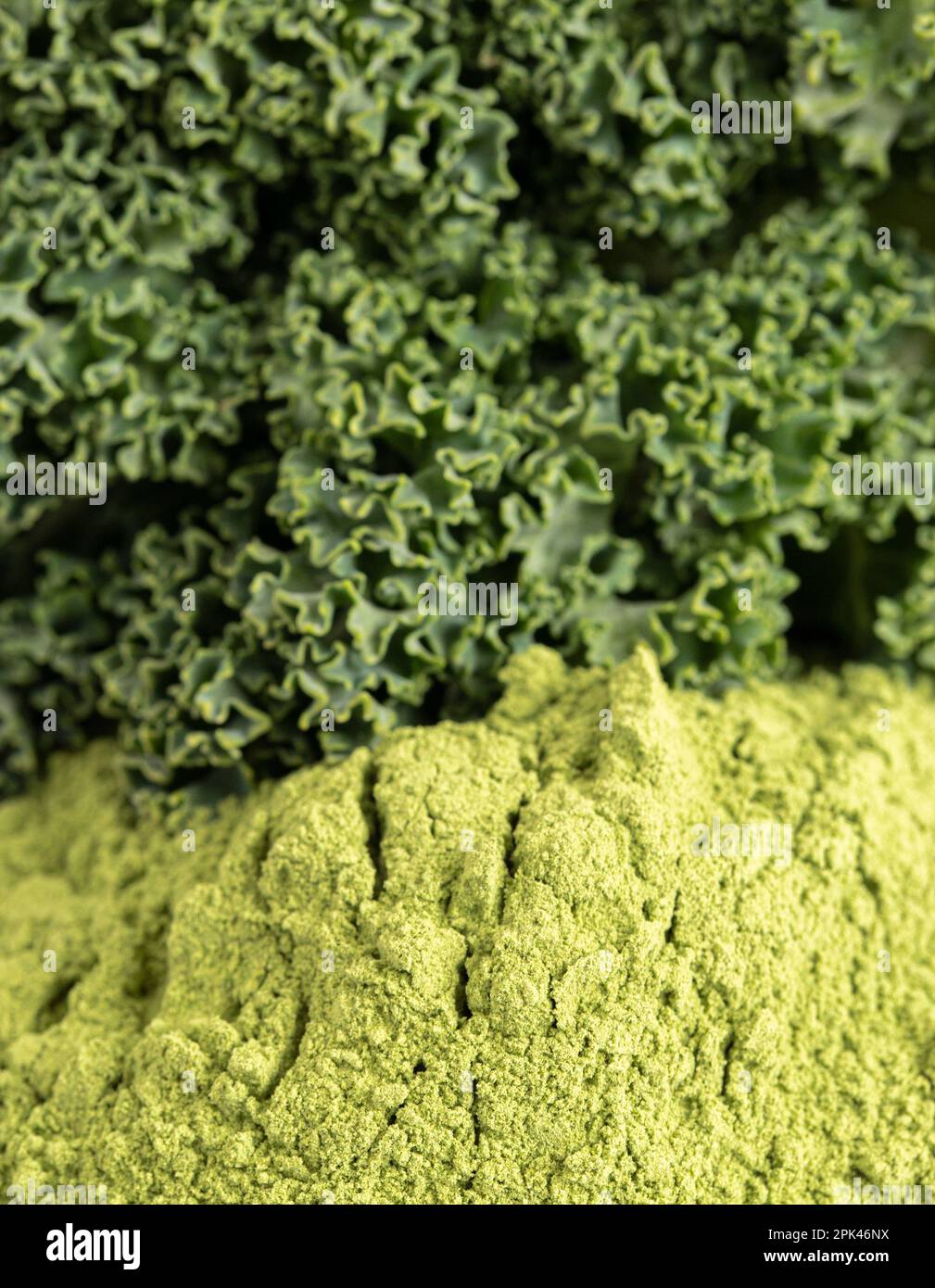 A Macro View of Green Kale Powder and Leaves Stock Photo - Alamy