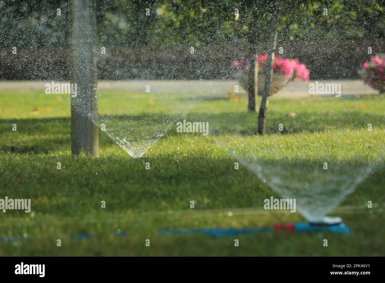 Automatic sprinklers watering green grass in park. Irrigation system ...