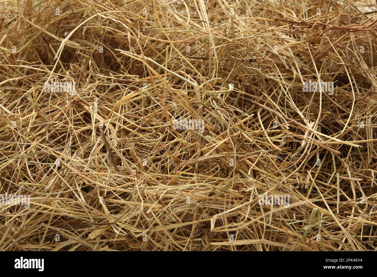 Dried grass hay as background, closeup view Stock Photo - Alamy