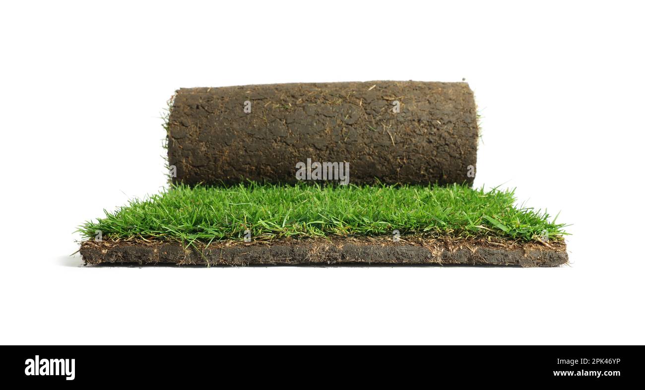 Rolled sod with grass on white background Stock Photo - Alamy