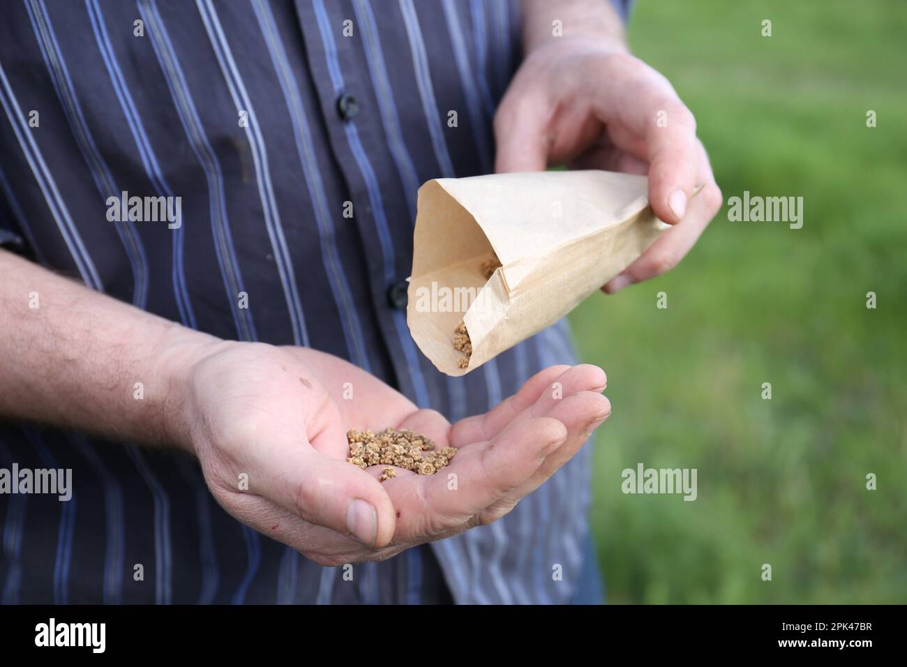 Hand packet pouring seeds hi-res stock photography and images - Alamy