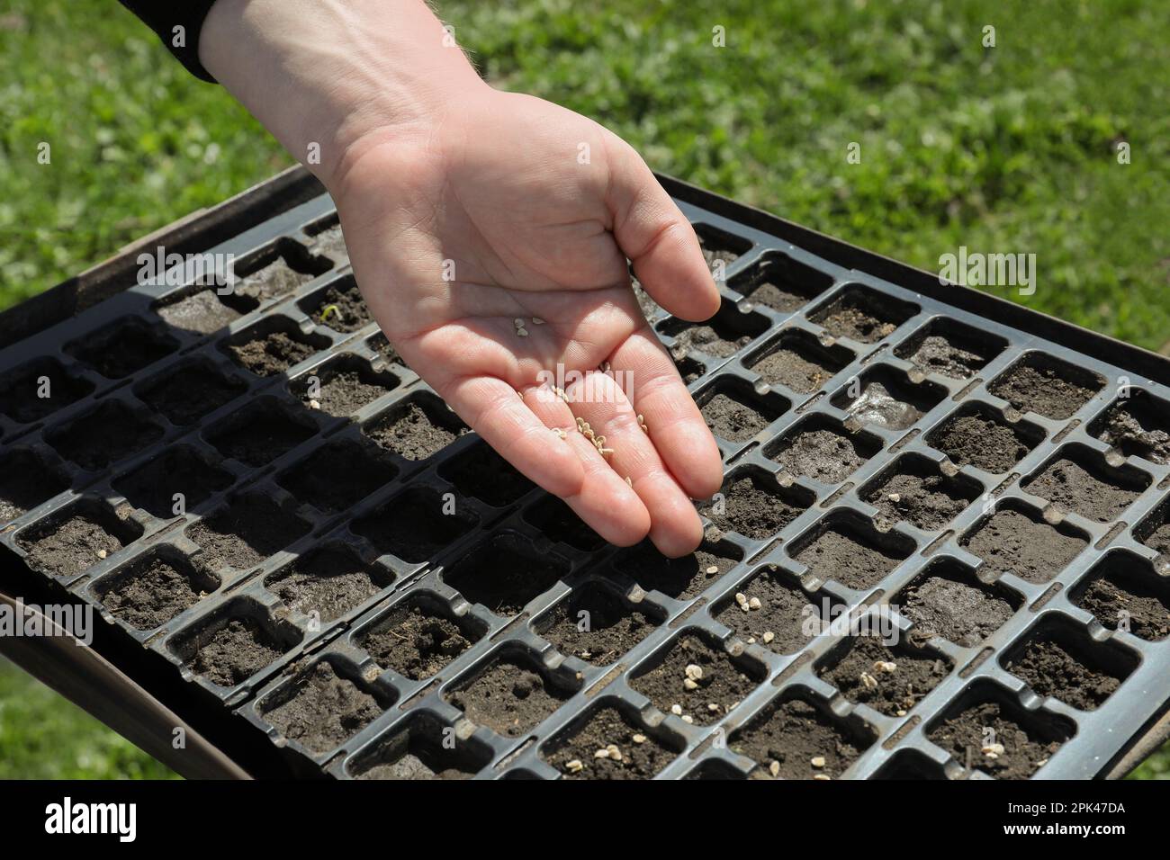 Planting grains hi-res stock photography and images - Alamy