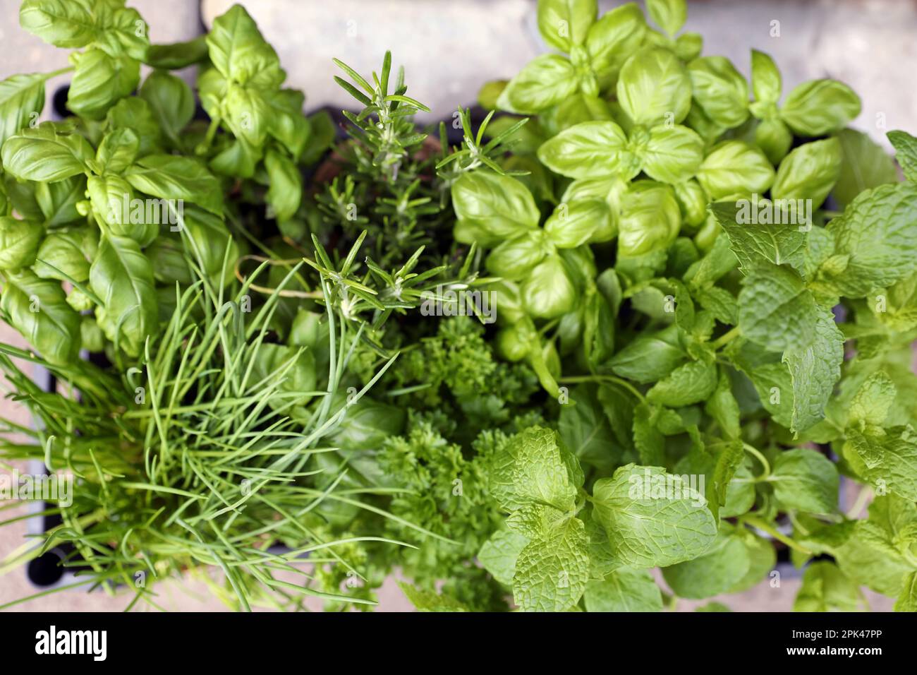 Different aromatic herbs in crate, top view Stock Photo - Alamy