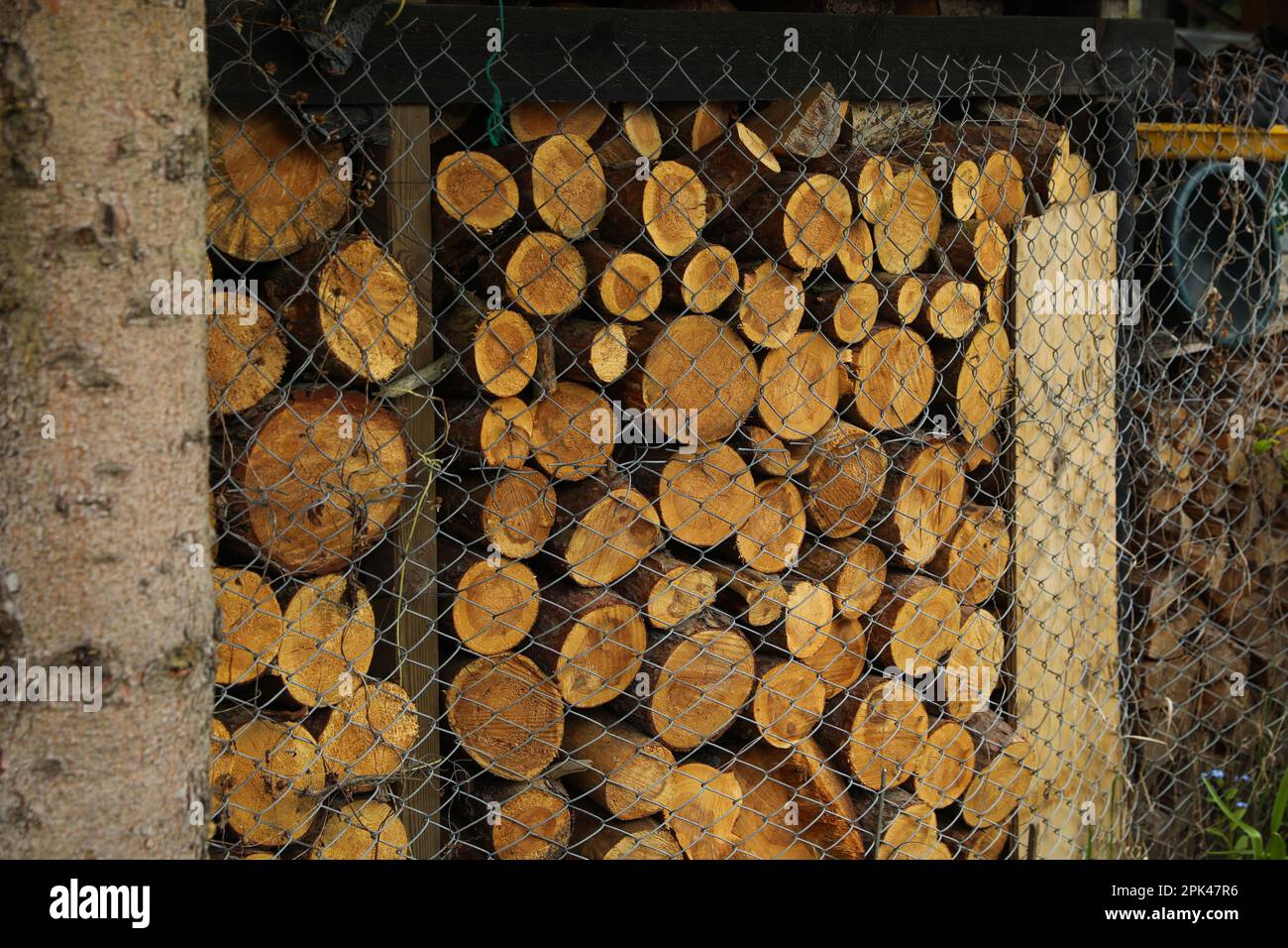 Stacked firewood behind wire mesh fence. Heating in winter Stock Photo ...