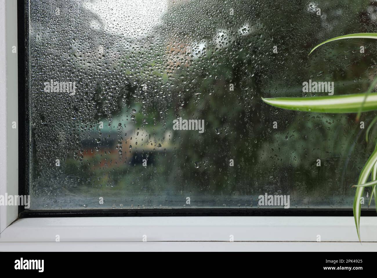 Water drops view hi-res stock photography and images - Alamy