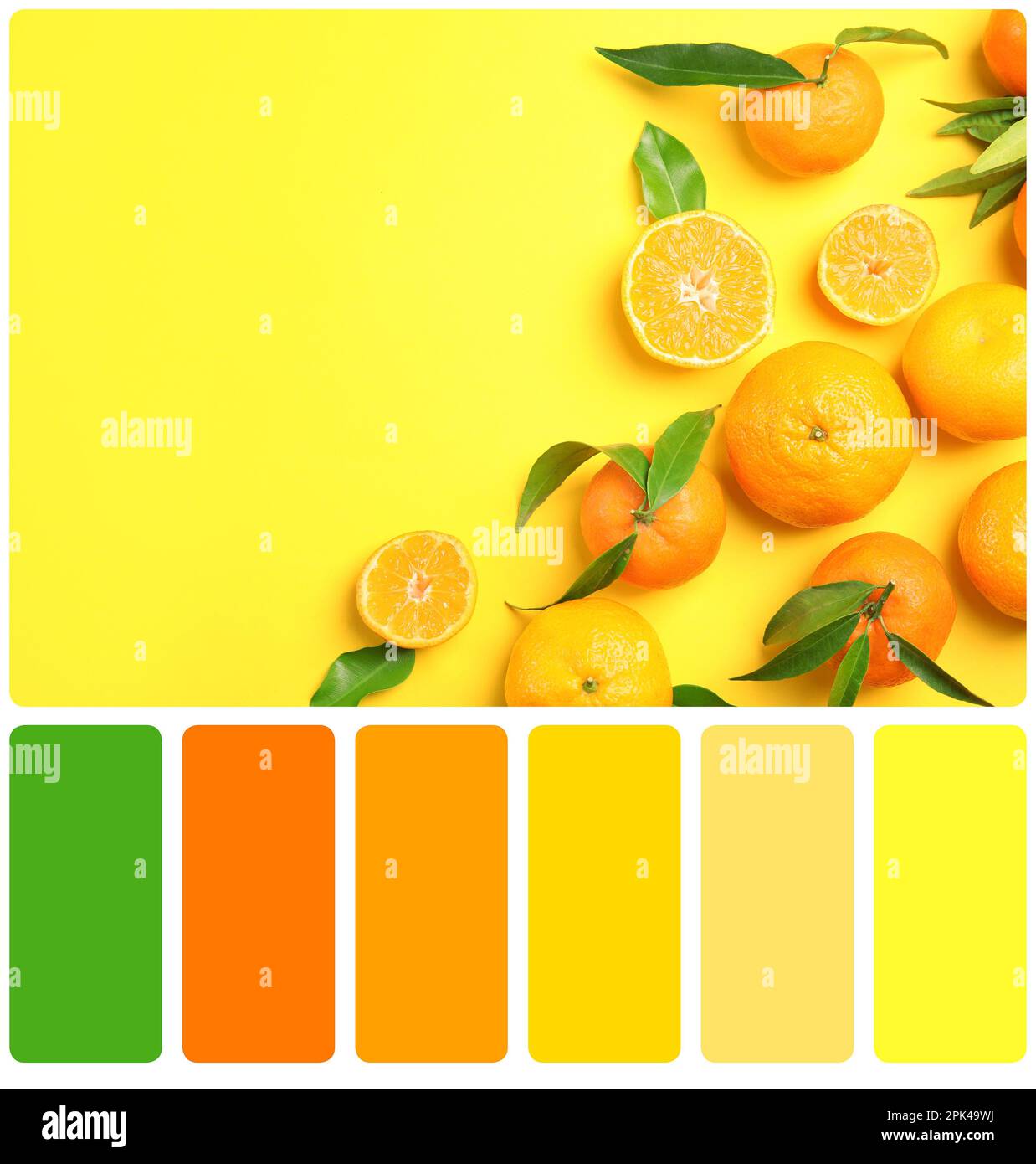 Color matching palette hi-res stock photography and images - Alamy