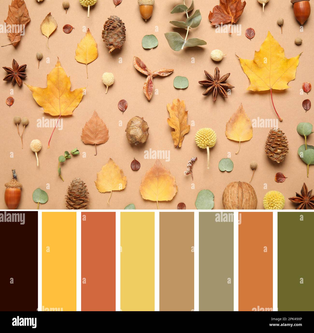 Autumn Colors Background