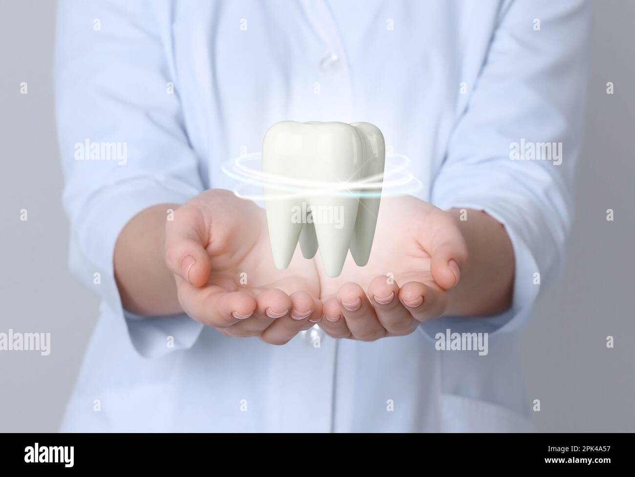 Model of the tooth hi-res stock photography and images - Alamy